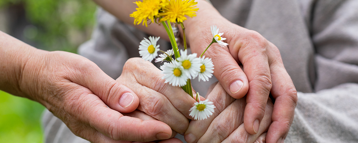 Your Way To Give - Morningstar Living